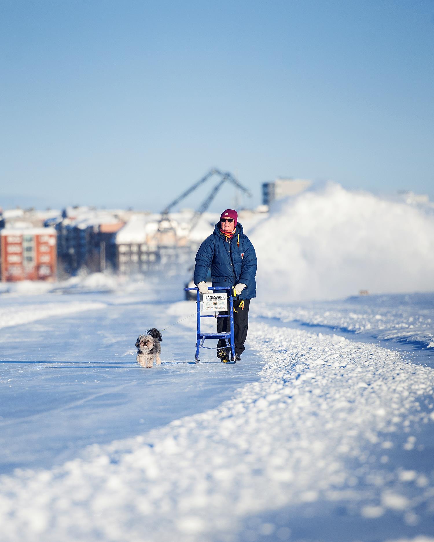 The ice track